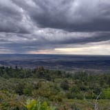 Stultz Trail, Colorado - 121 Reviews, Map | AllTrails