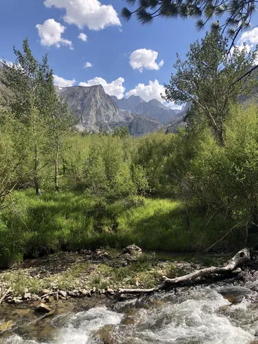 10 Best Trails and Hikes in Big Pine | AllTrails