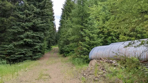 Best Hikes and Trails in Minam State Recreation Area | AllTrails