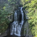Bushkill Falls Red Trail, Pennsylvania - 507 Reviews, Map | AllTrails