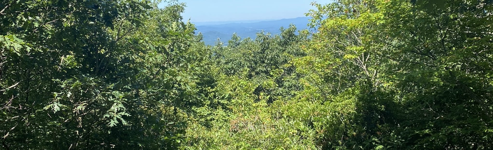 Len Foote Inn to Springer Mountain via Appalachian Approach Trail ...