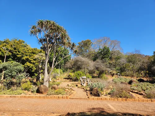 10 Best Waterfall Trails in Gauteng | AllTrails