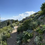 Bogus Basin Loop Trail, Idaho - 232 Reviews, Map | AllTrails
