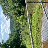 Northern Central Rail Trail (Torrey C. Brown Trail), Maryland - 958 ...