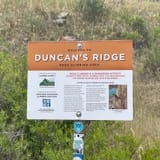 Duncan's Ridge, Colorado - 159 Reviews, Map | AllTrails