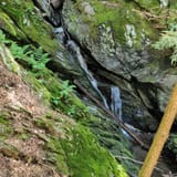 Stevens Glen Trail, Massachusetts - 315 Reviews, Map | AllTrails
