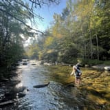 Conasauga River Trail, Georgia - 123 Reviews, Map | AllTrails