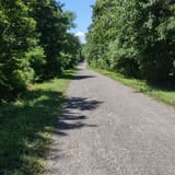 Stewart State Forest Foot Trail, New York - 432 Reviews, Map | AllTrails