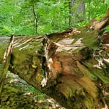 Lost '40' Trail, Minnesota - 158 Reviews, Map | AllTrails