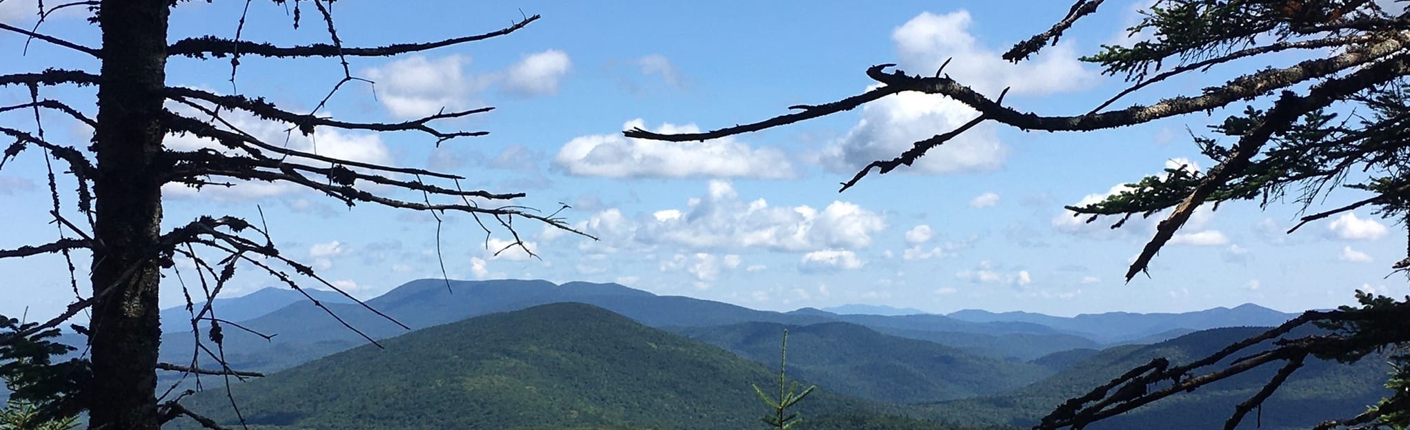 Sucker Brook Trail, Vermont - 14 Reviews, Map | AllTrails