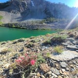 Emma Lake Trail, California - 147 Reviews, Map | AllTrails
