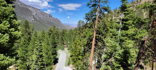Best 10 Hikes and Trails in Mount Charleston Wilderness | AllTrails