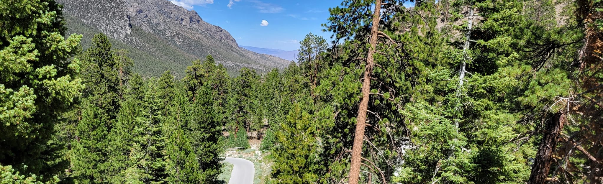 Mount Charleston North to South via Trail Canyon, Nevada - 503 Reviews ...