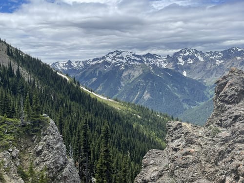 2023 Best 10 Trails and Hikes in Sequim | AllTrails