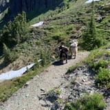 Hawkeye Point via Goat Ridge Trail #95, Washington - 313 Reviews, Map ...