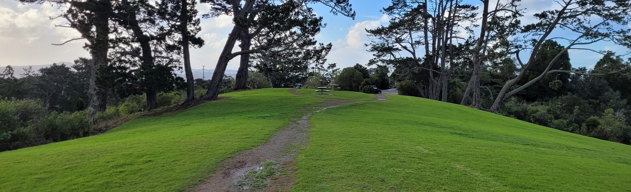 Point View Lookout Path: 35 Reviews, Map - Auckland, New Zealand ...