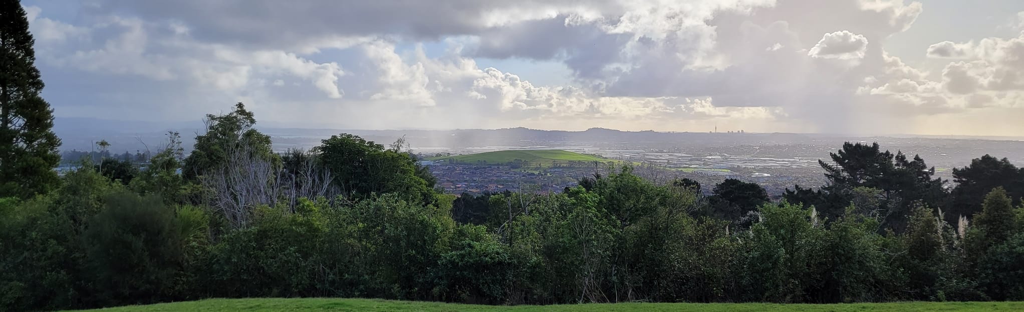 Point View Bush Path | Map, Guide - Auckland, New Zealand | AllTrails