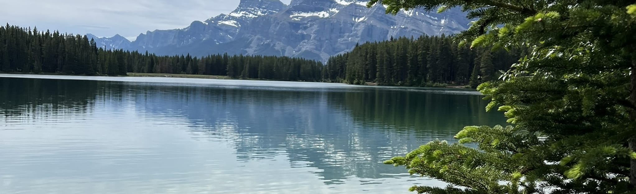 Two Jack Lake Trail: 383 Reviews, Map - Alberta, Canada | AllTrails