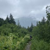 Carter Lake Trail, Alaska - 300 Reviews, Map | AllTrails