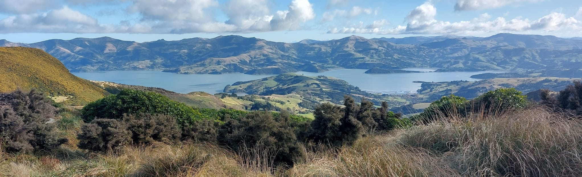 Ellangowan Scenic Reserve Walk, Canterbury, New Zealand - 4 Reviews ...