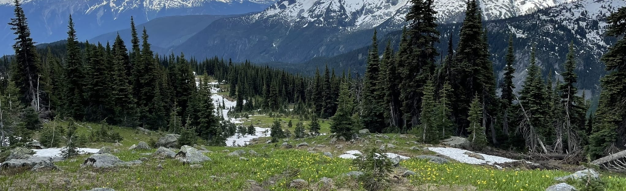 Miller Ridge: 12 Reviews, Map - British Columbia, Canada | AllTrails