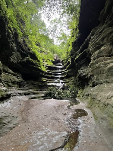 2023 Best 10 Trails and Hikes in Illinois | AllTrails