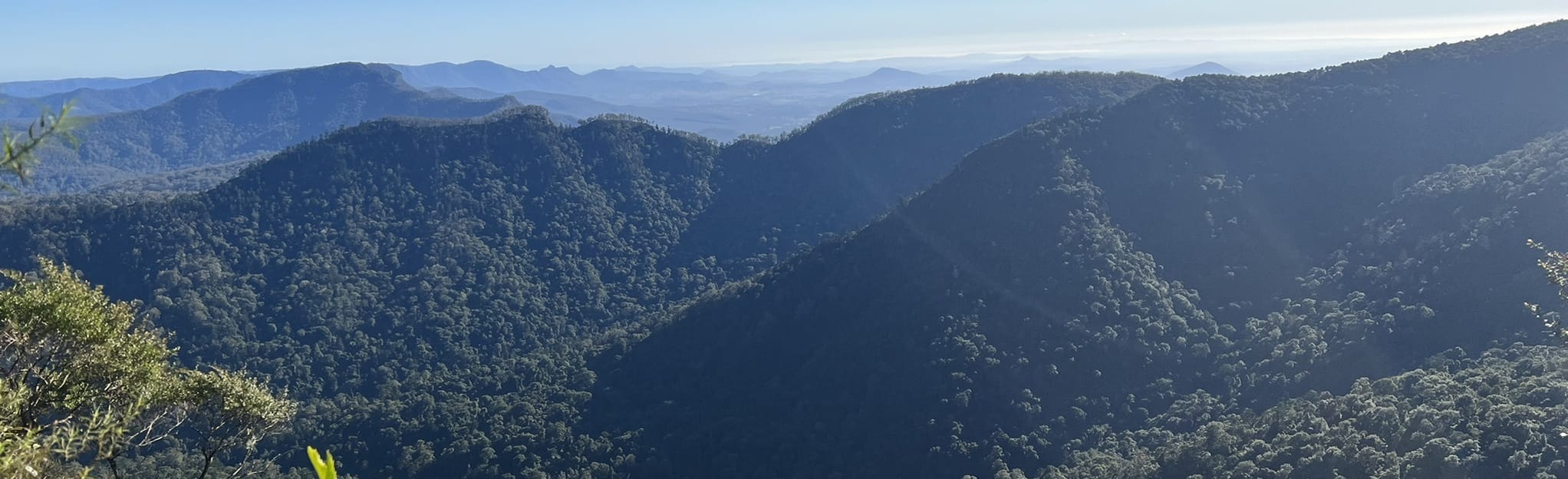 Mount Superbus Lincoln Ridge Track | Map, Guide - Queensland, Australia ...