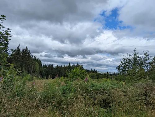 10 Best Trails and Hikes in Inverness | AllTrails