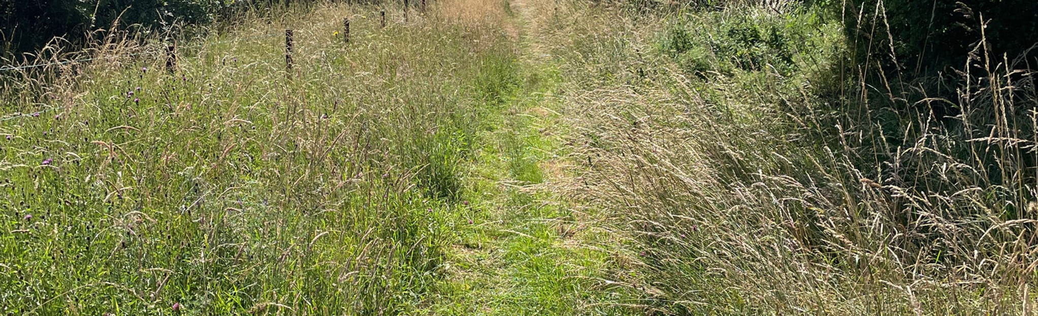 Saltfleetby-Theddlethorpe Dunes Circular, Lincolnshire, England - 22 ...