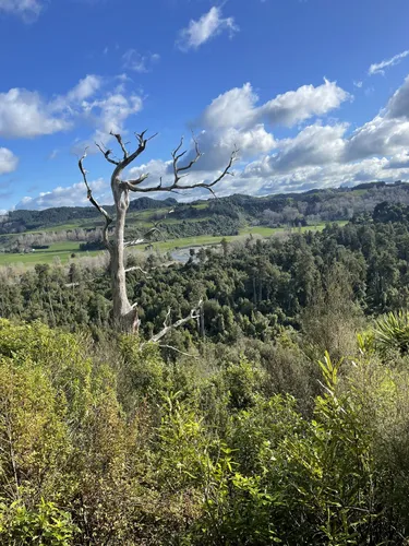 Best Hikes and Trails in Totara Reserve Regional Park | AllTrails