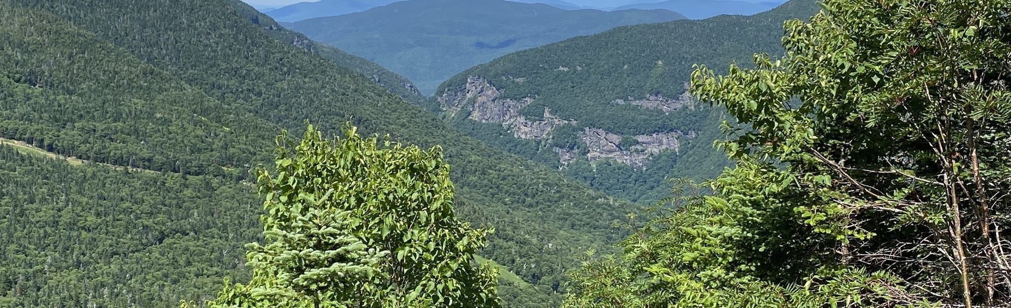 Long Trail, Profanity, Long Trail, Haselton Trail Loop: 2.347 foto's ...