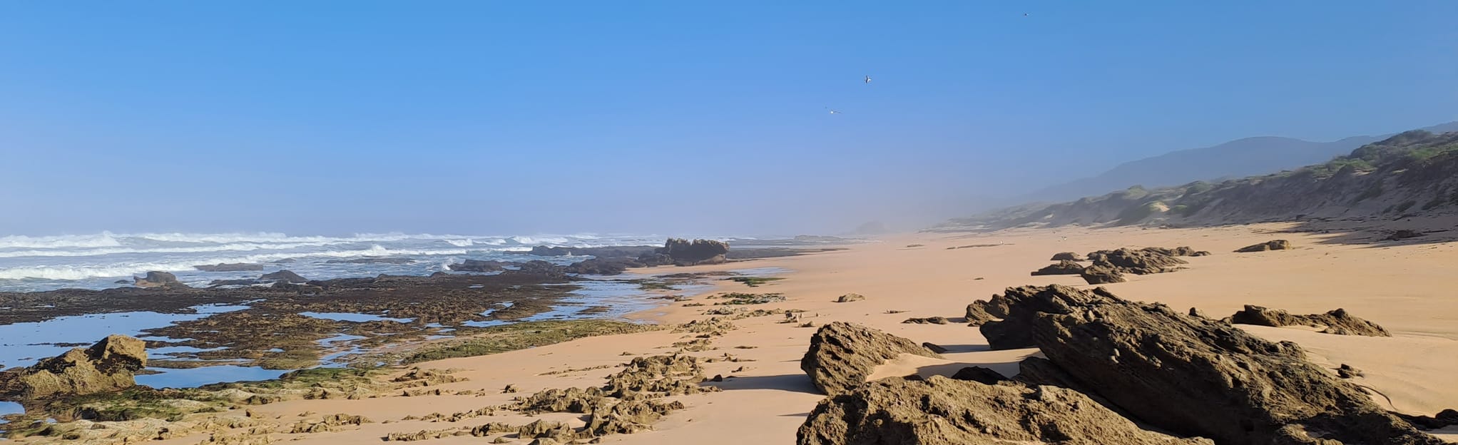 Blombos Trail, Western Cape, South Africa - 12 Reviews, Map | AllTrails