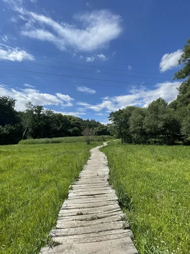 10 Best Trails and Hikes in Prague | AllTrails