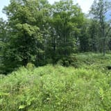 Hoist Lakes Foot Travel Area, Michigan - 121 Reviews, Map | AllTrails