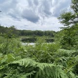 Hoist Lakes Foot Travel Area, Michigan - 112 Reviews, Map | AllTrails