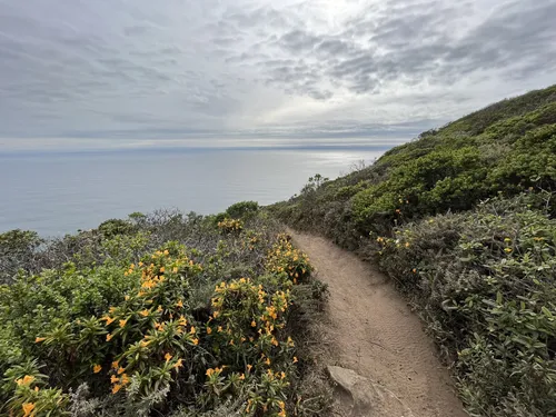 Best Hikes and Trails in Pedro Point Headlands | AllTrails