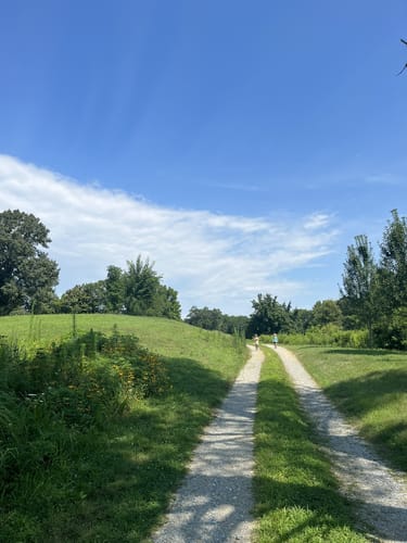 Best Hikes and Trails in Zoar State Forest | AllTrails