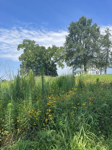 Best Hikes and Trails in Zoar State Forest | AllTrails