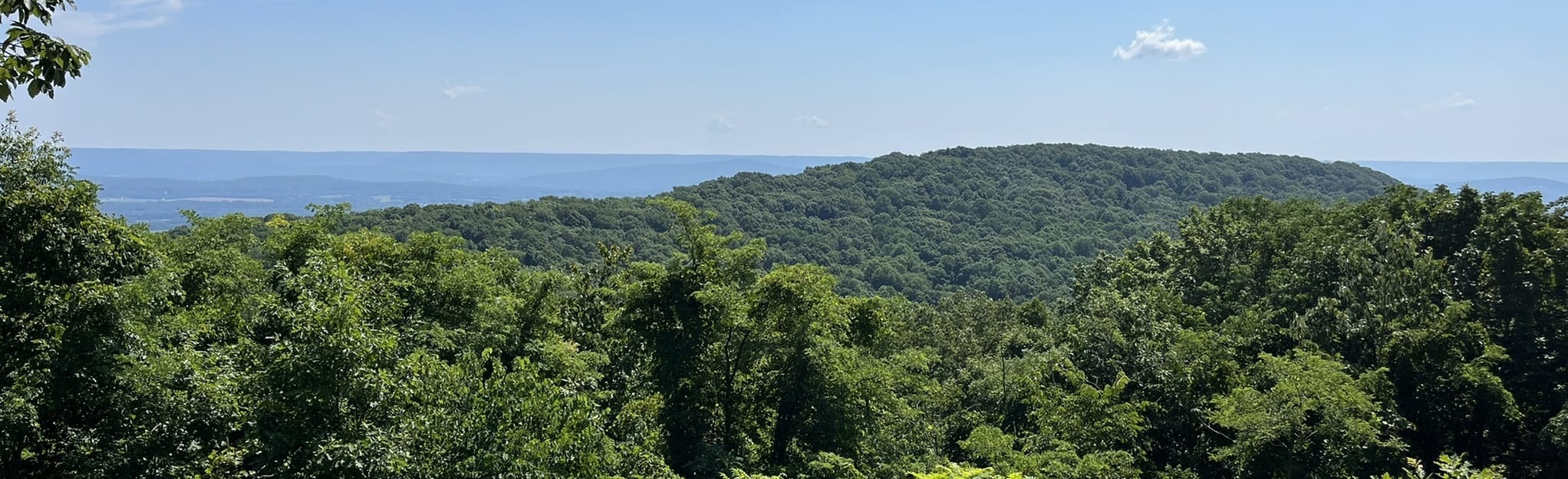 North Plateau, Cold Springs and Mountain Mist Trail Loop, Alabama - 95 ...