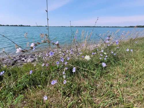 Best Hikes and Trails in Grabill | AllTrails