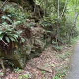 Huckleberry Trail via Christiansburg, Virginia - 285 Reviews, Map ...