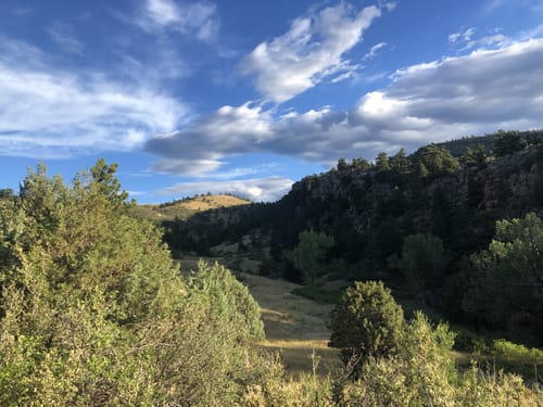 Best Hikes and Trails in Hall Ranch Open Space | AllTrails