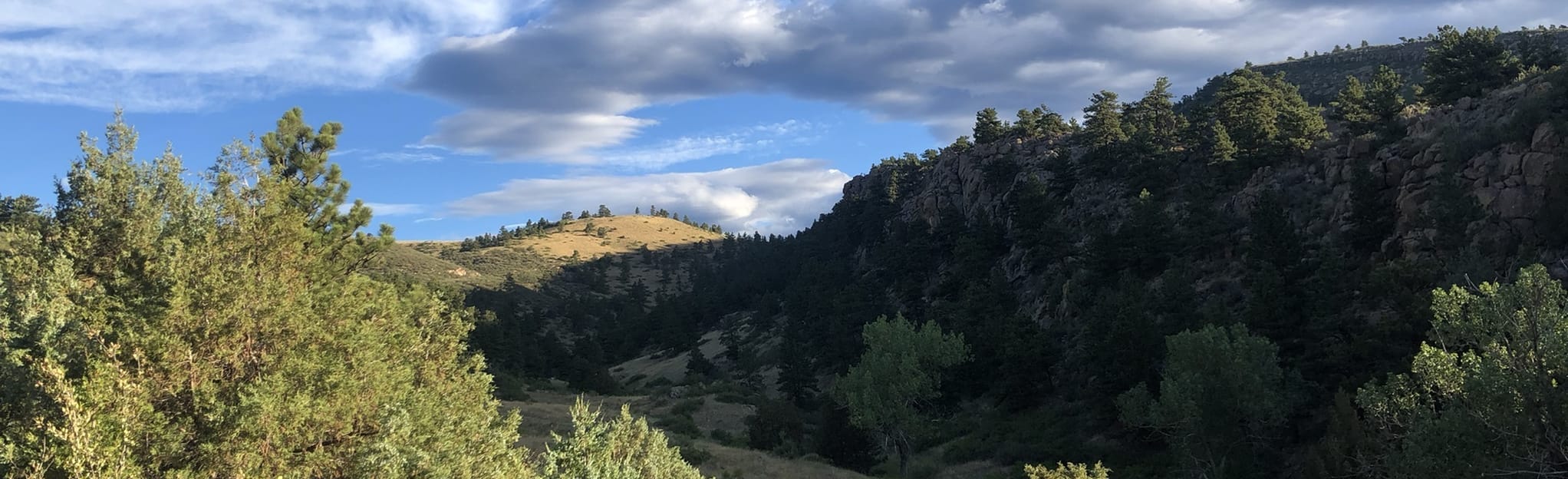 Hall Ranch Loop: Nighthawk to Bitterbrush, Colorado - 395 Reviews, Map ...