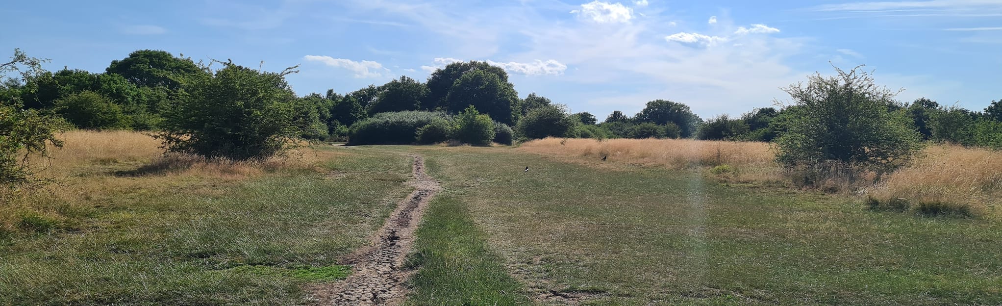 Connaught Water and Chingford Plain: 36 Reviews, Map - London, England ...