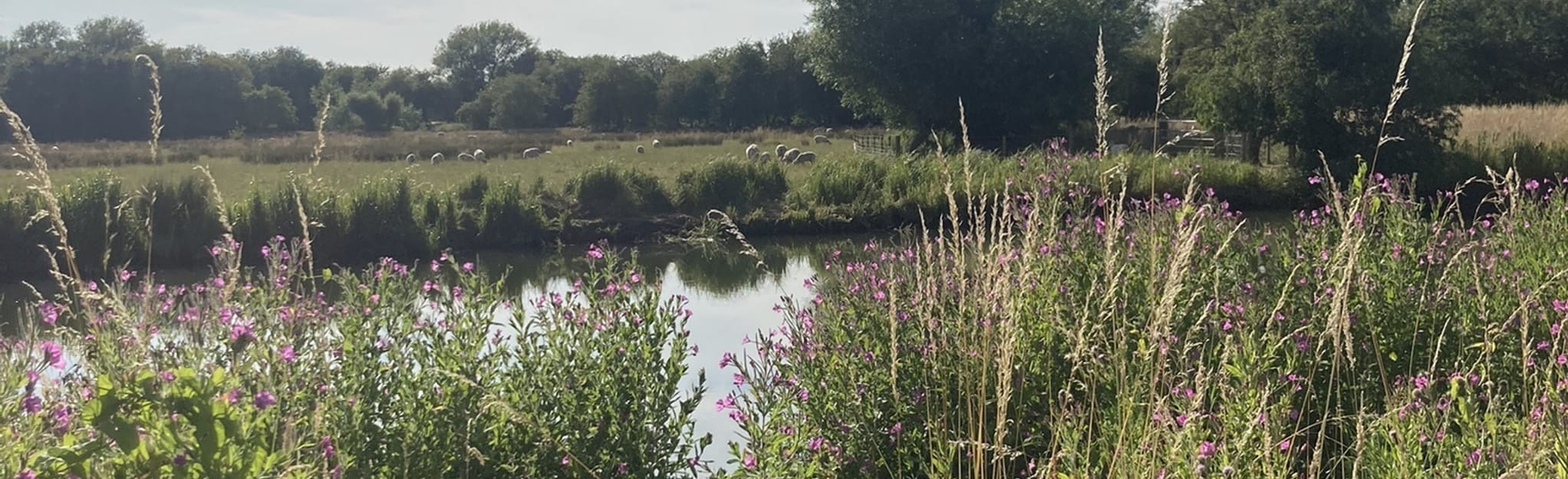 Farmoor Reservoir Countryside Walk - Oxfordshire, England | AllTrails