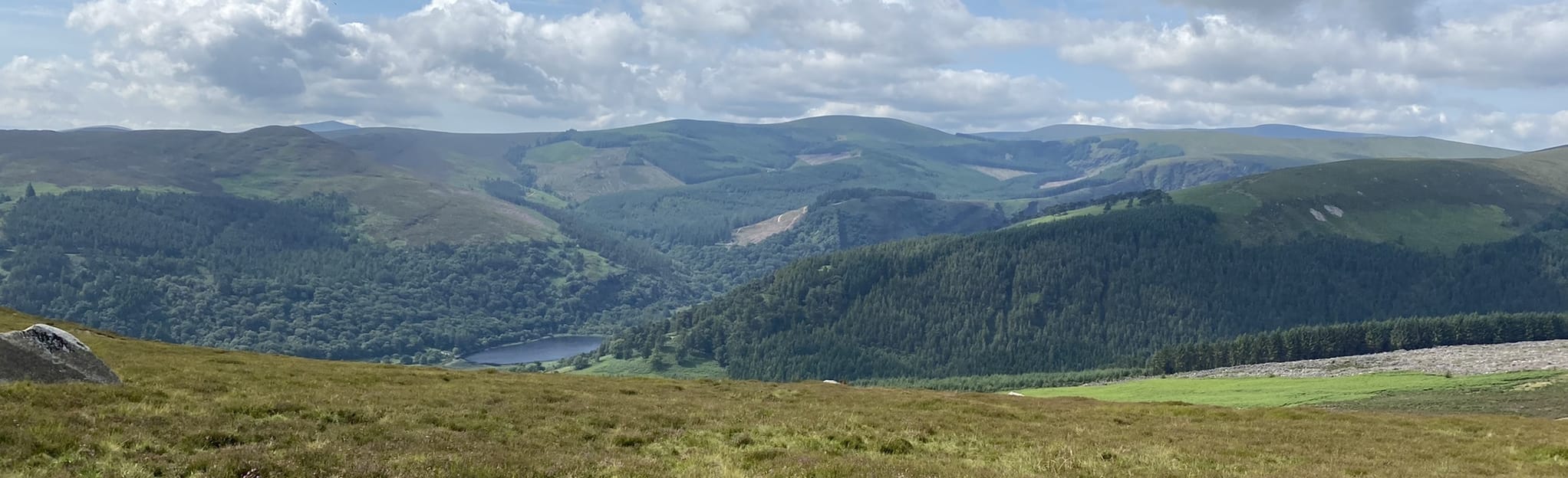 Brockagh Mountain: 129 Reviews, Map - County Wicklow, Ireland | AllTrails