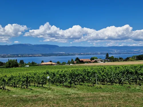 10 Best Trails and Hikes in Geneva | AllTrails
