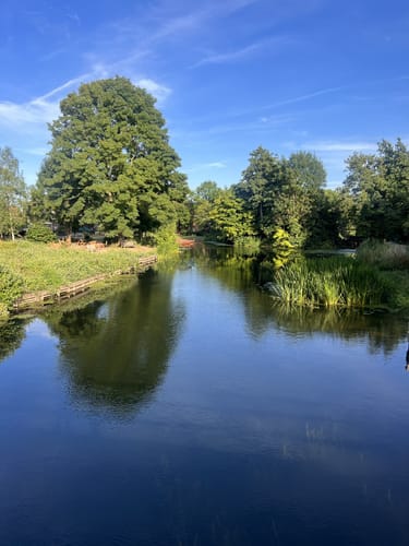 Best 10 Hikes and Trails in Dedham Vale Area of Outstanding Natural ...