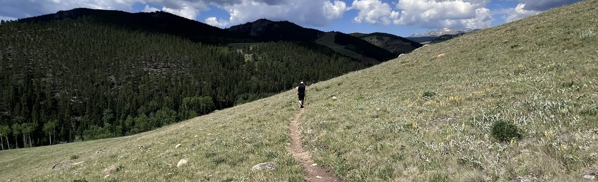 AllTrails | Grouse Mountain Viewpoint Trail: 54 Reviews, Map - Wyoming