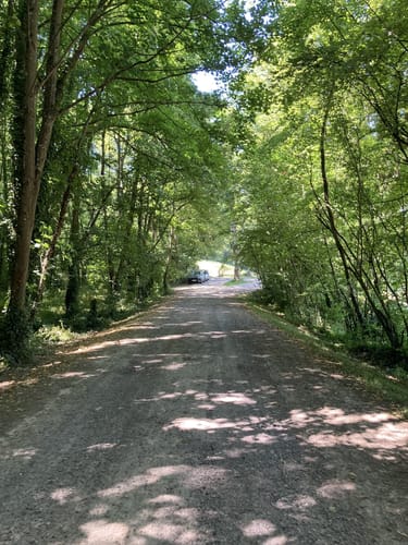 2023 Best Historic Site Trails in Colomby-Anguerny | AllTrails